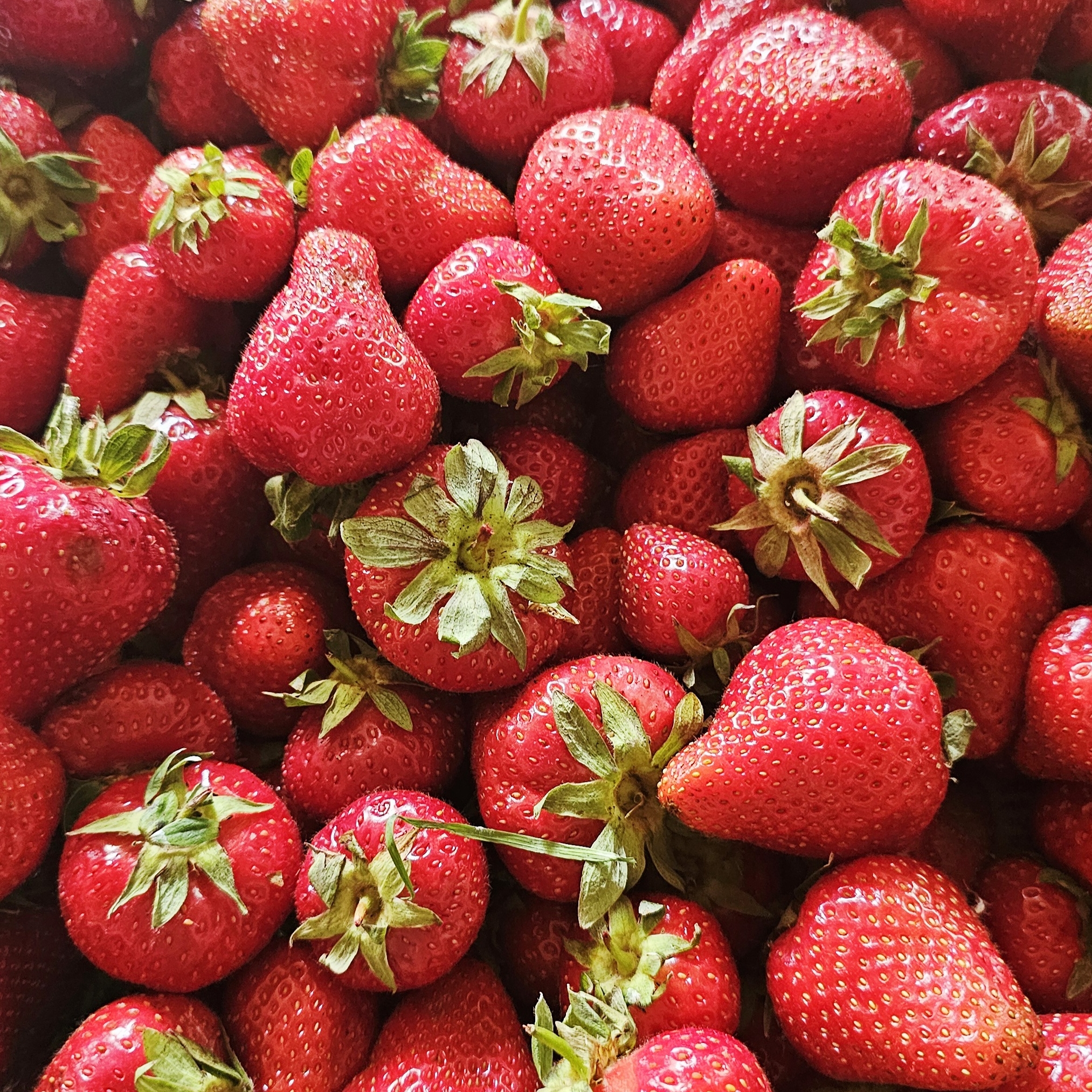 Иконка канала Всякое всячины