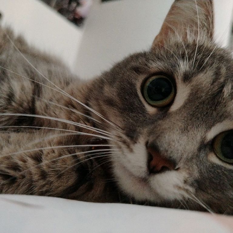 Иконка канала Zhan Shirosagi