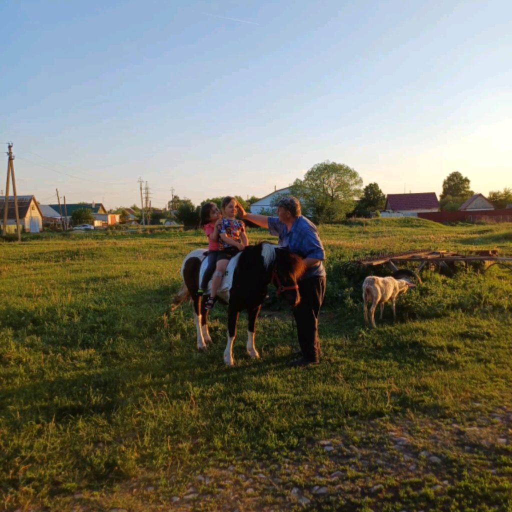 Иконка канала Пётр Комогоров