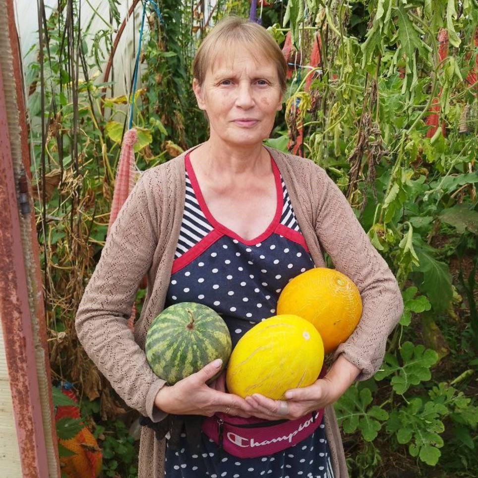 Иконка канала Огородные хитрости