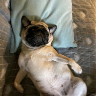 Иконка канала Пашк Калинин