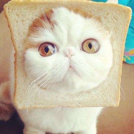 Иконка канала Лег?!