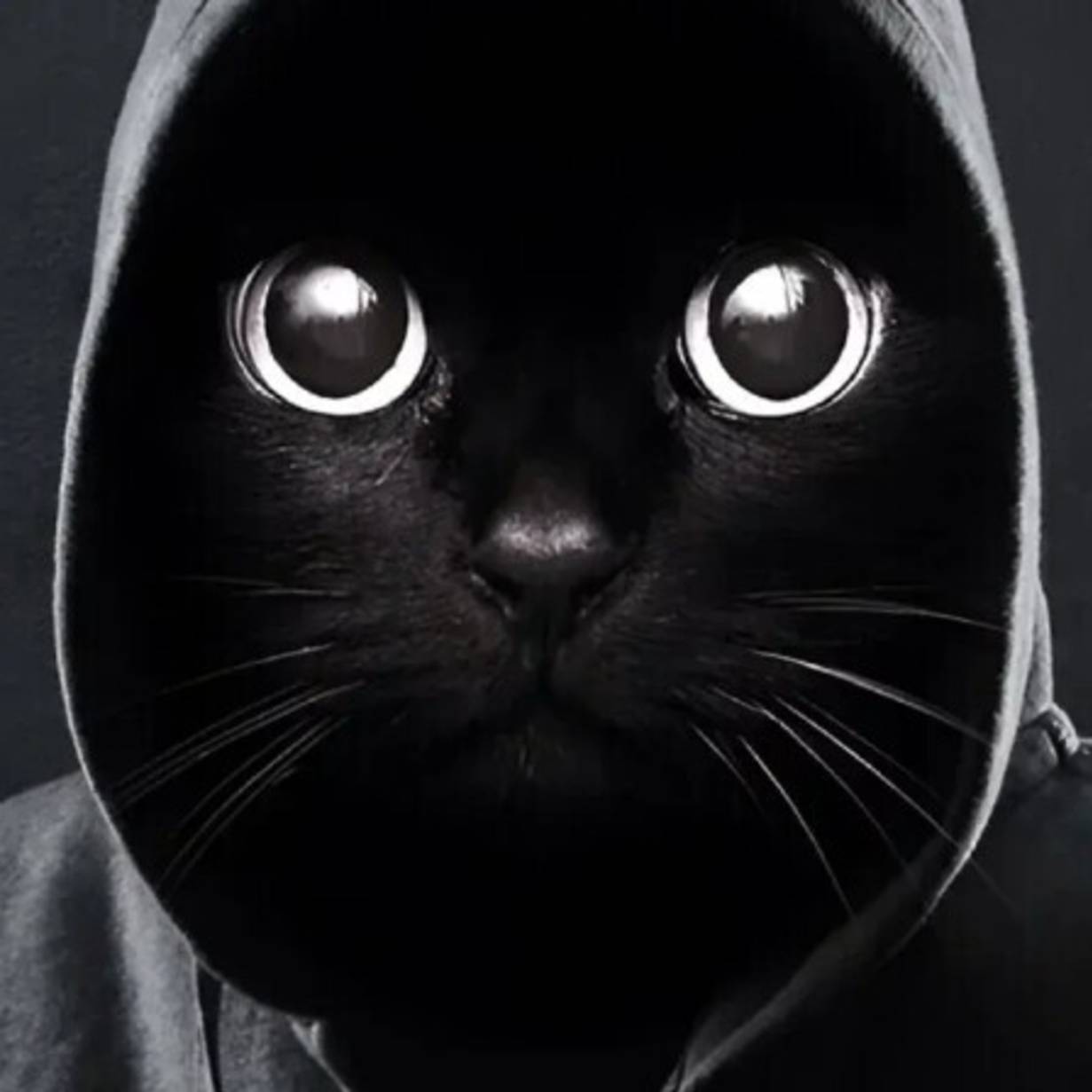 Иконка канала KOT