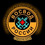 Иконка канала Аварийно-спасательное формирования "ВОСВОД"