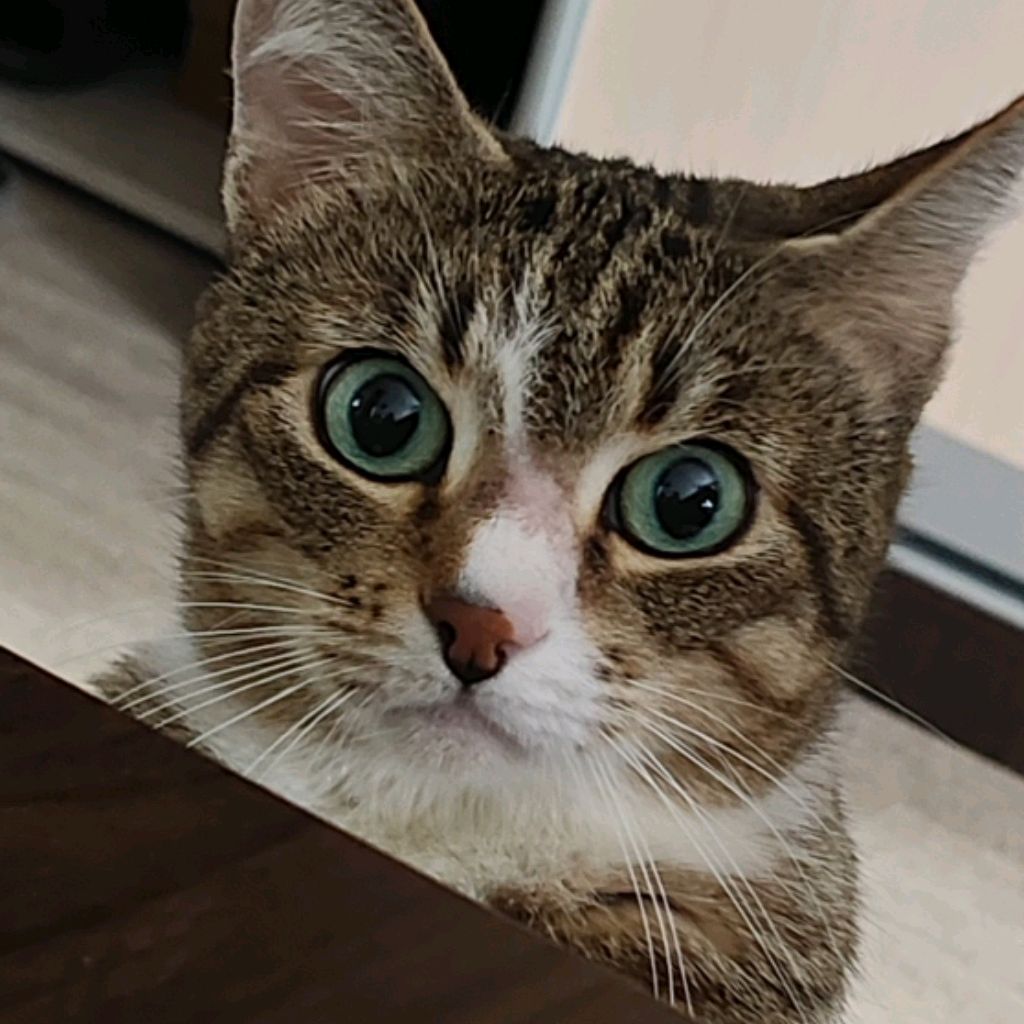 Иконка канала Bups