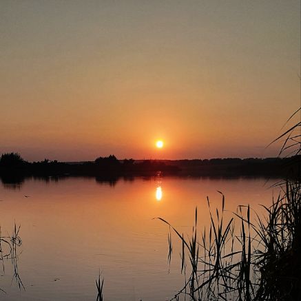 Иконка канала Maksimusvezenia