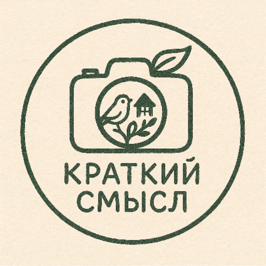 Иконка канала Краткий Смысл