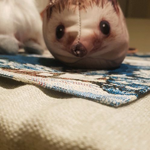 Иконка канала Платон в рутубе