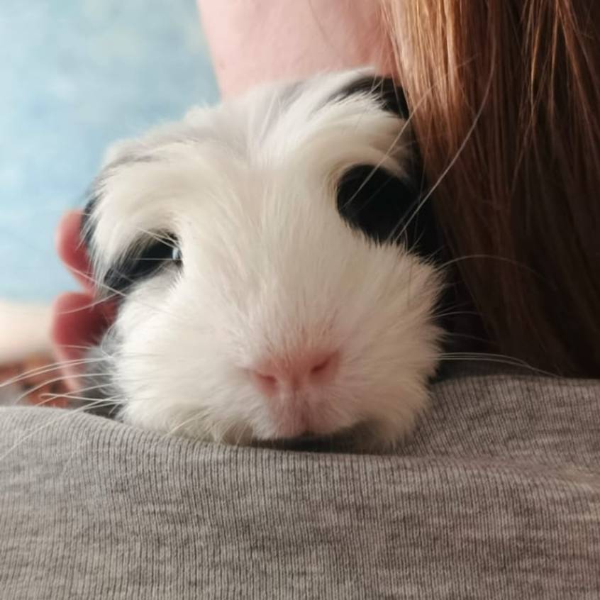 Иконка канала Норгор