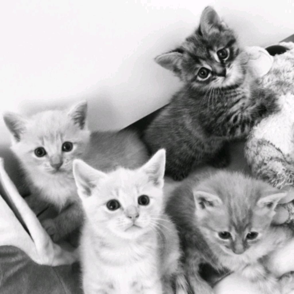 Иконка канала Надежда Медакова