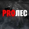 Иконка канала PROЛЕС