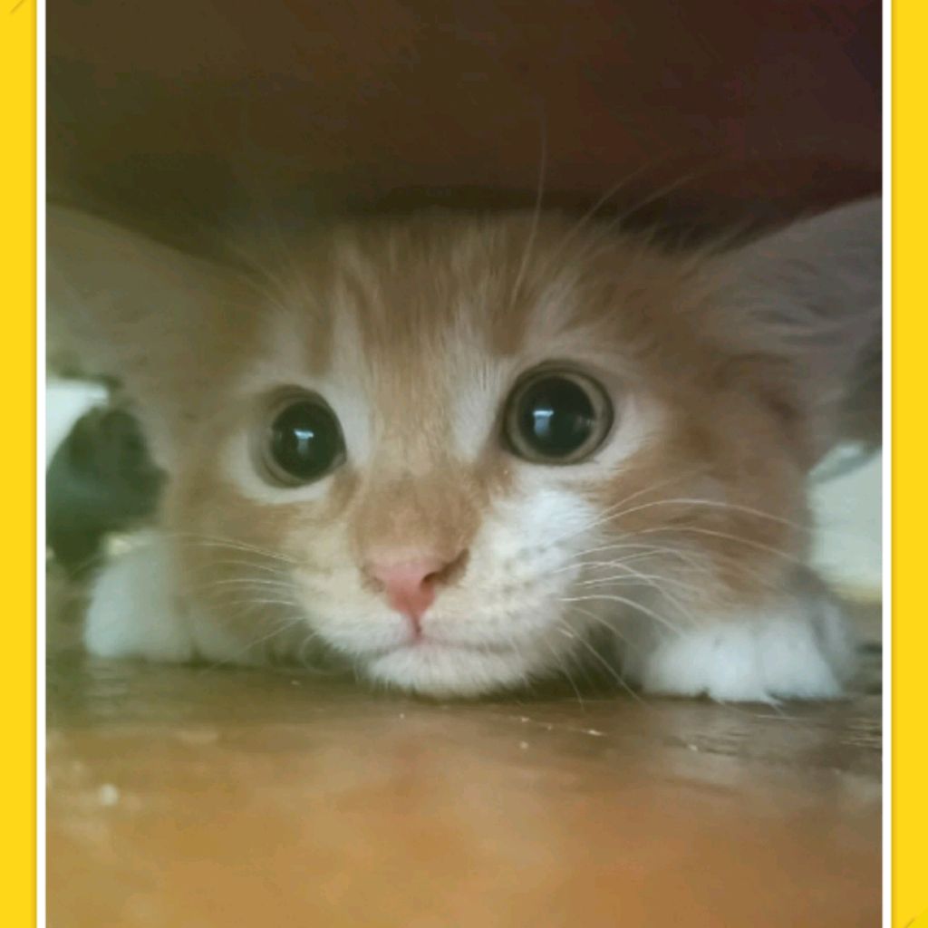 Иконка канала ILDUS_CHELNINSKI