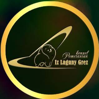 Иконка канала Кожаный нос Из Лагуны Грёз.