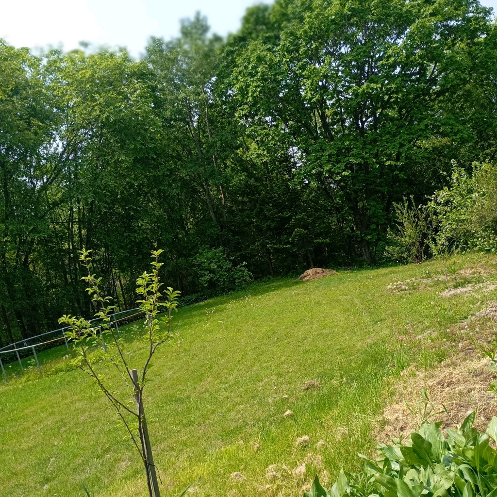 Иконка канала Я из будущего!