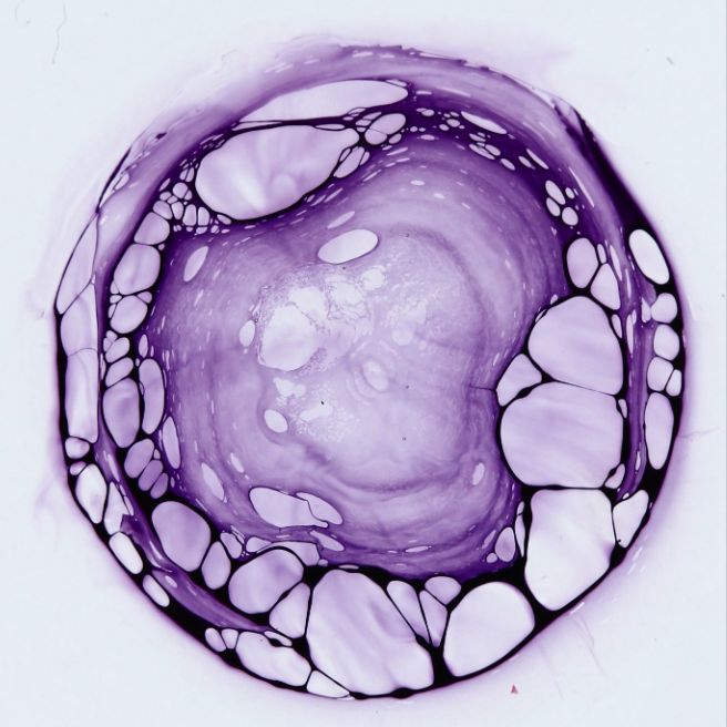 Иконка канала MIRACULORUM