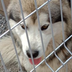 Иконка канала мир жизни