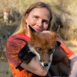 Иконка канала Анна Лисицына