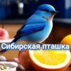 Иконка канала Рецепты - Сибирская пташка готовит