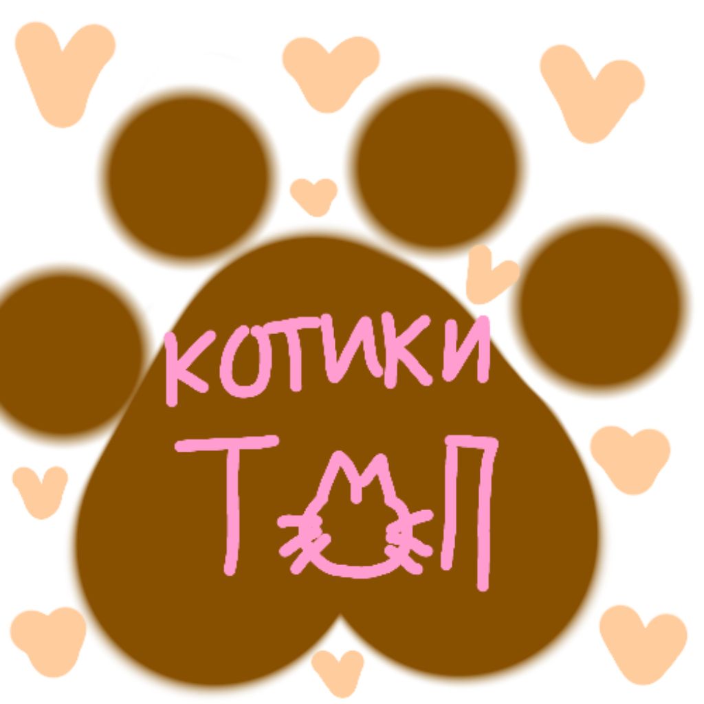 Иконка канала Котики Топ😸