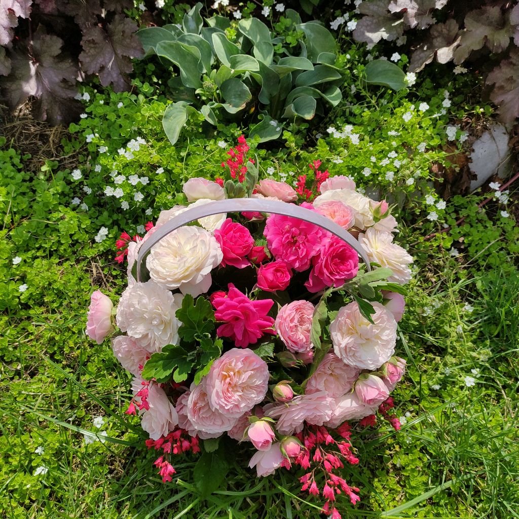 Иконка канала Елена БЕТ