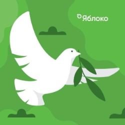 Иконка канала Новгородское Яблоко