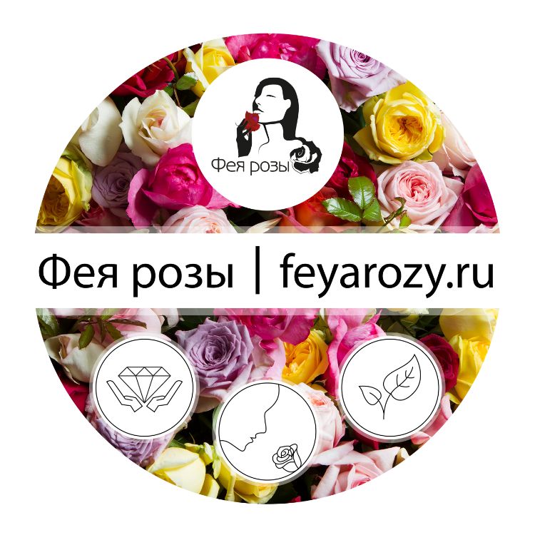 Иконка канала Фея розы ❀ Душистые розы напрямую из теплицы