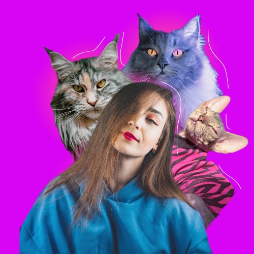 Иконка канала КотоПёся