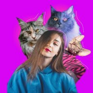 Иконка канала КотоПёся