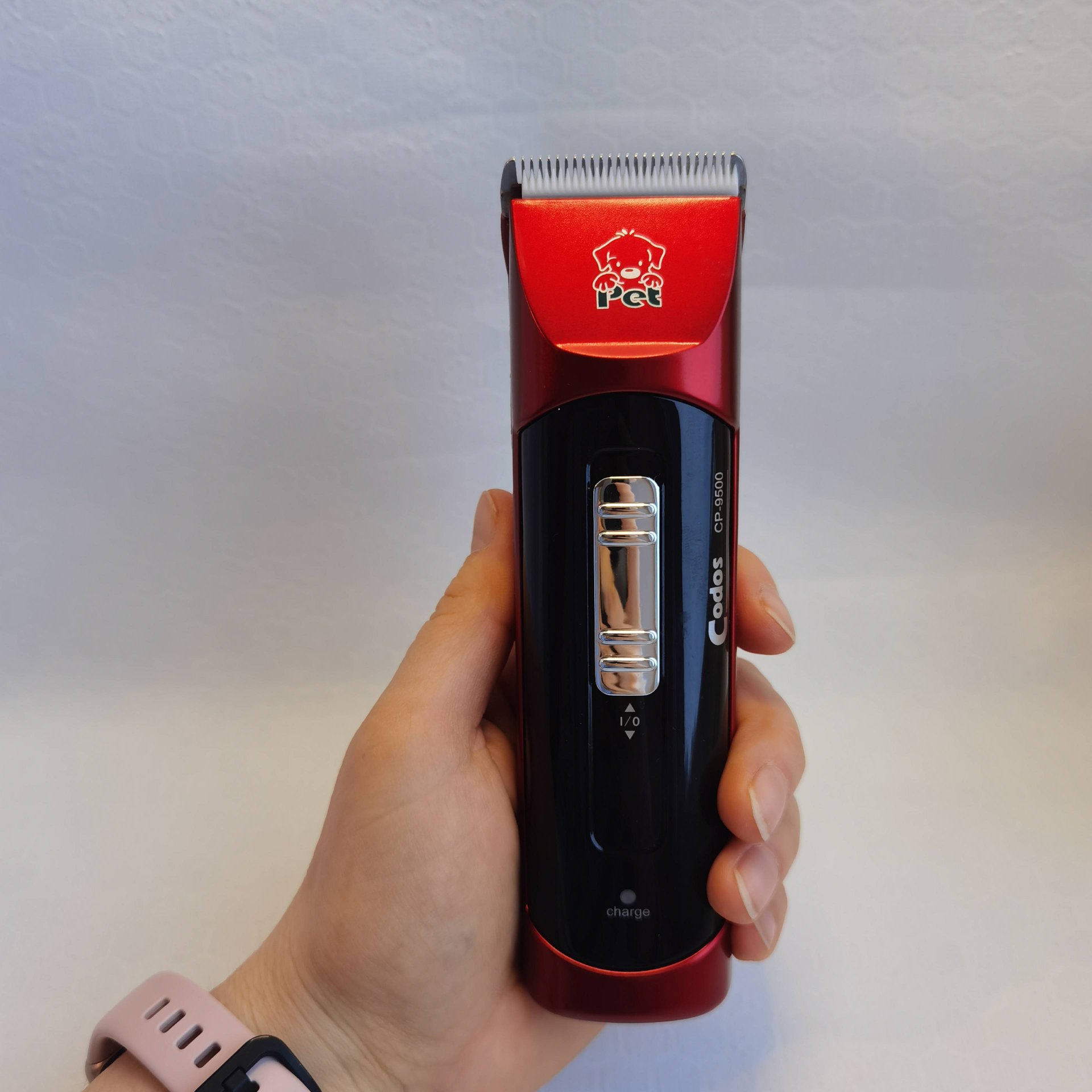 Иконка канала Blogthezoo