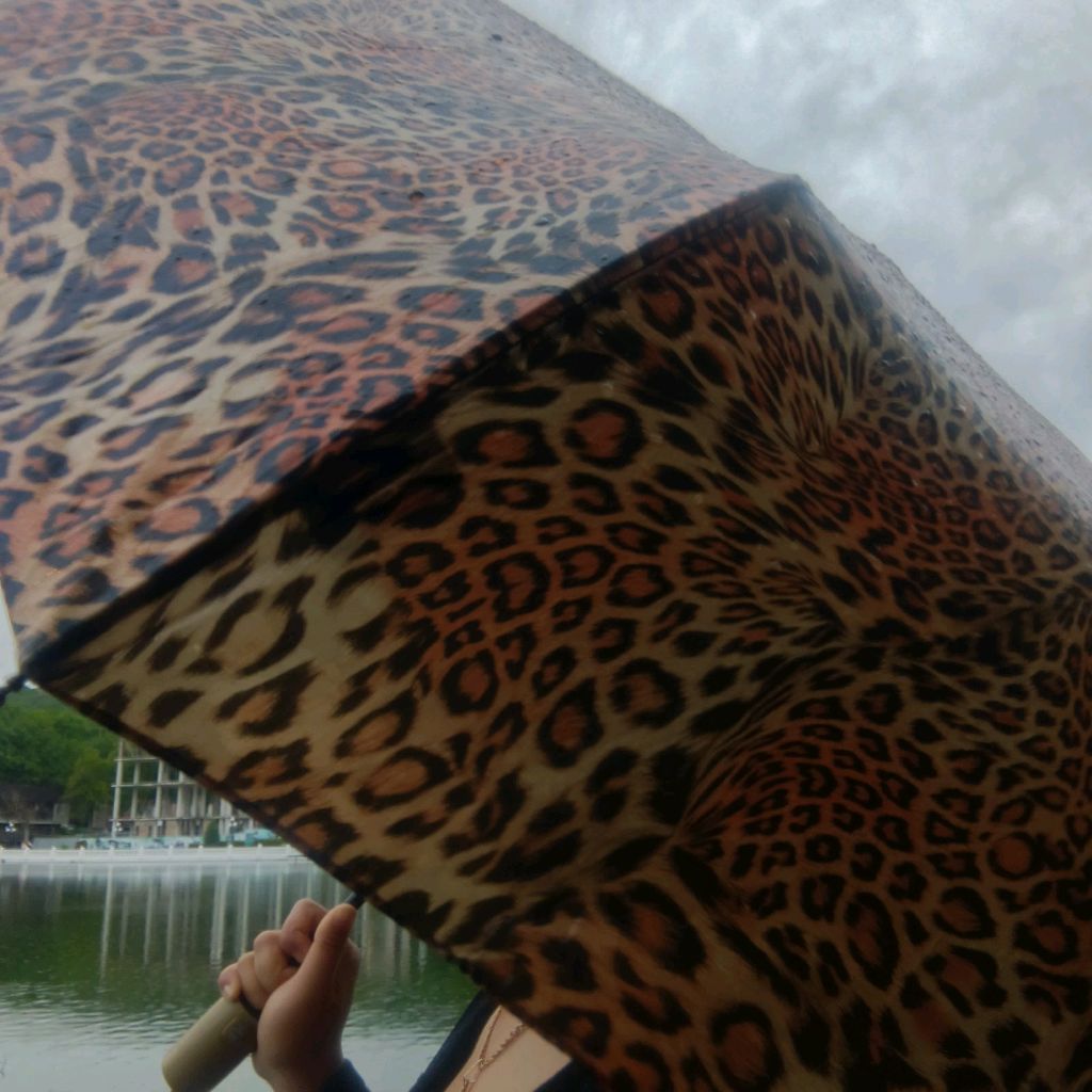 Иконка канала channel41973336