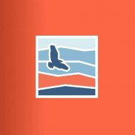 Иконка канала ЦЕНТР «ВОЗРОЖДЕНИЕ»