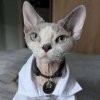 Иконка канала channel61539148