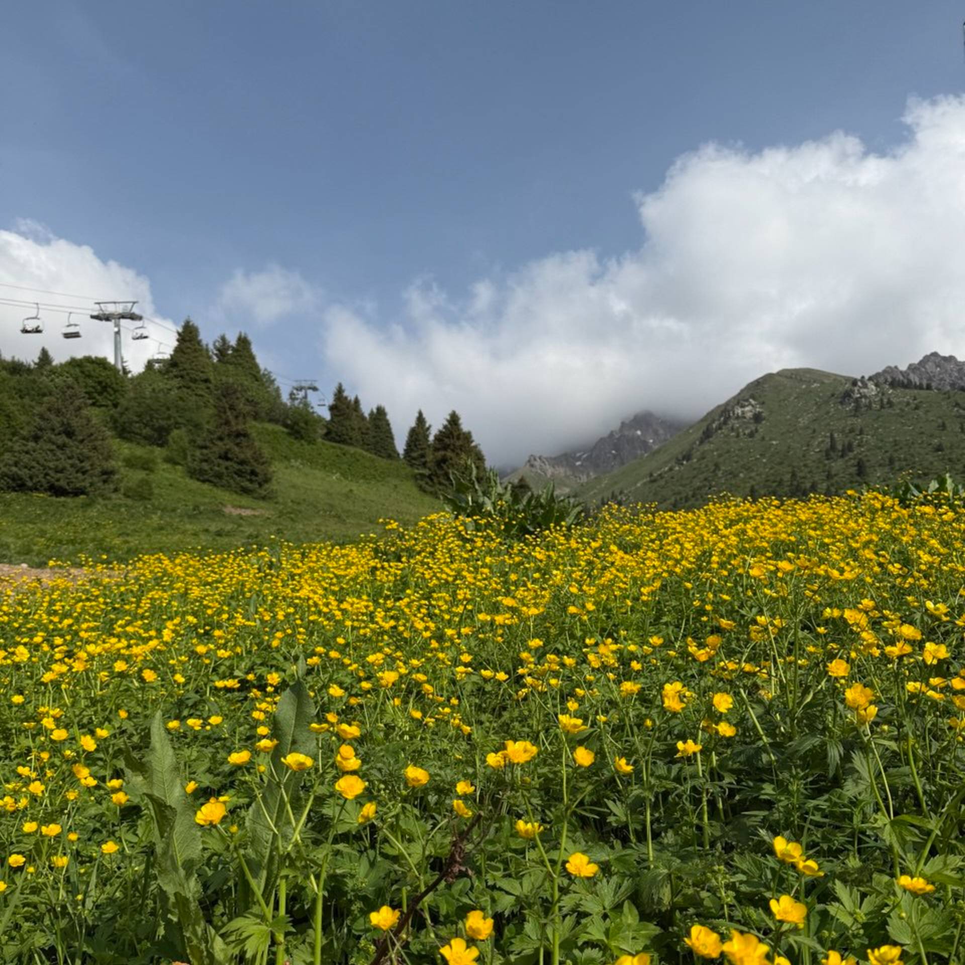 Иконка канала DJI AndroSean