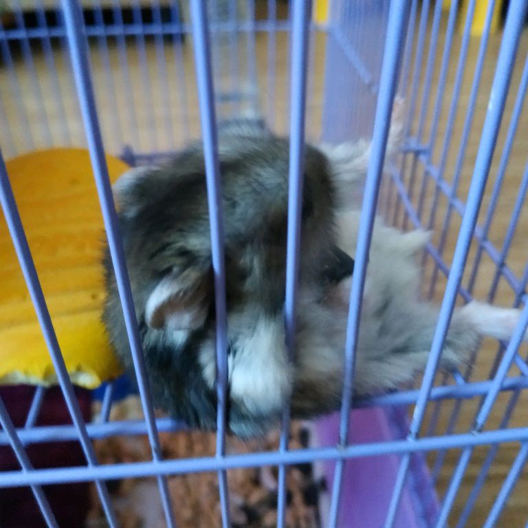 Иконка канала Alex328768