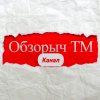 Иконка канала Обзорыч ТМ