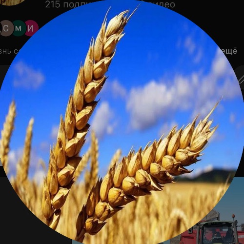 Иконка канала АГРОБЛОГ "По полям"