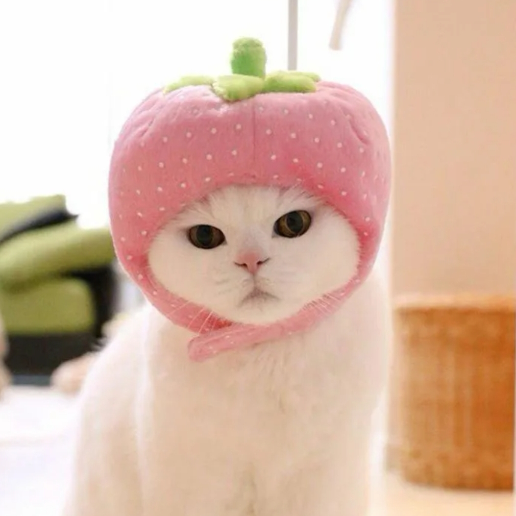 Иконка канала Ксюша