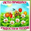 Иконка канала Elis