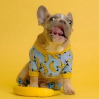 Иконка канала У дядюшки Иня