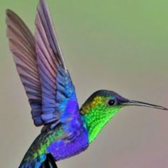 Иконка канала Калибри 777