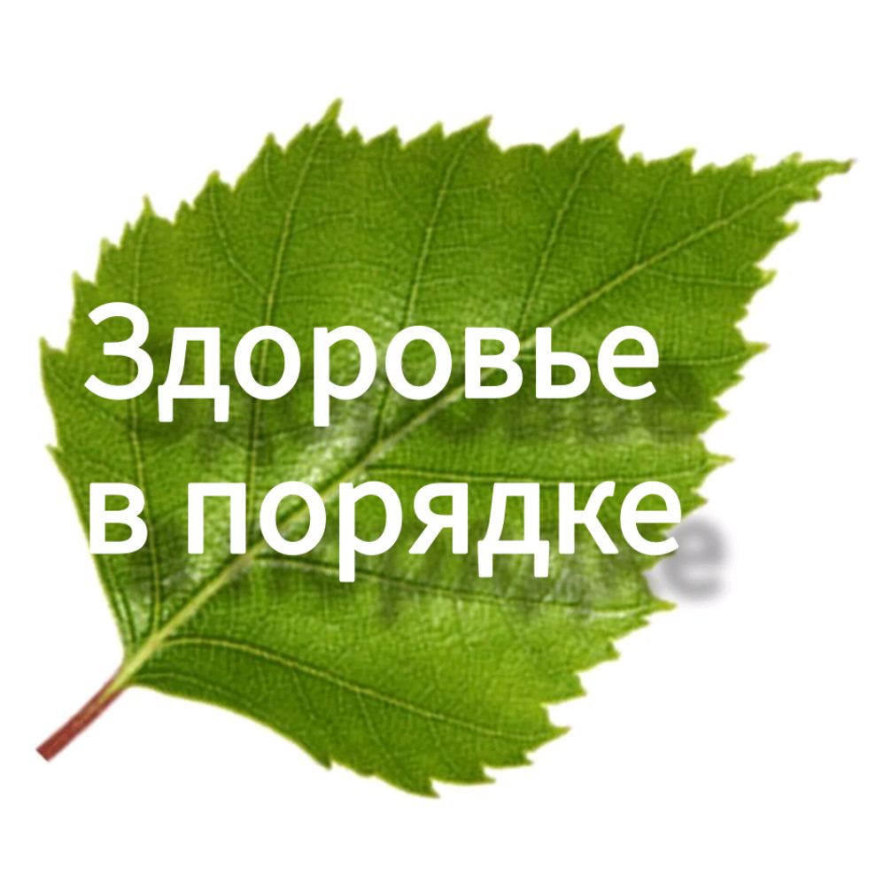 Иконка канала Здоровье в порядке