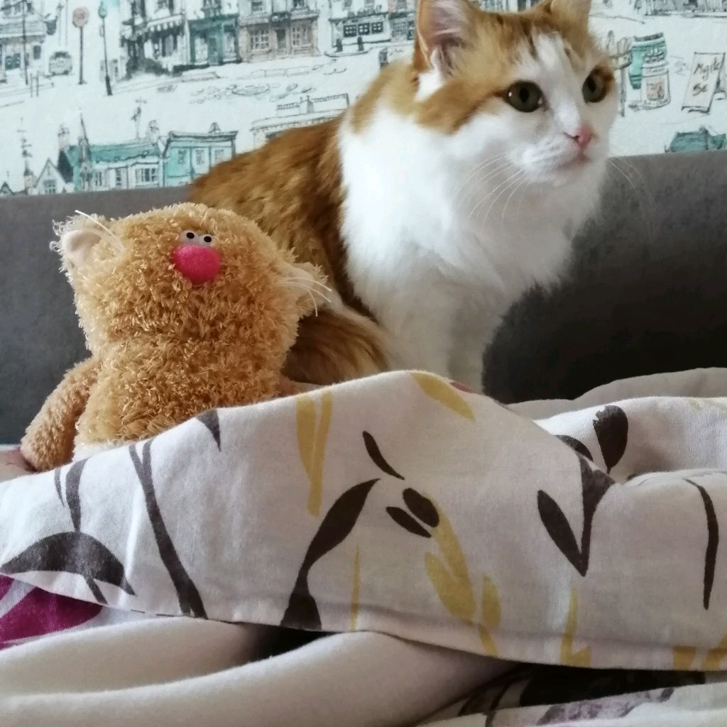 Иконка канала КОРОЛЬ КОКОСОВ