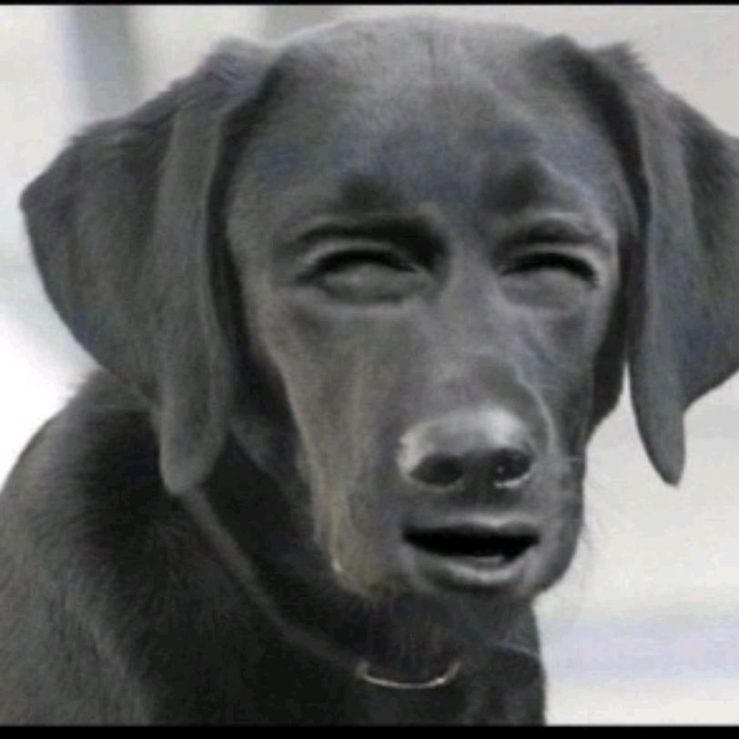 Иконка канала Жеваный Крот