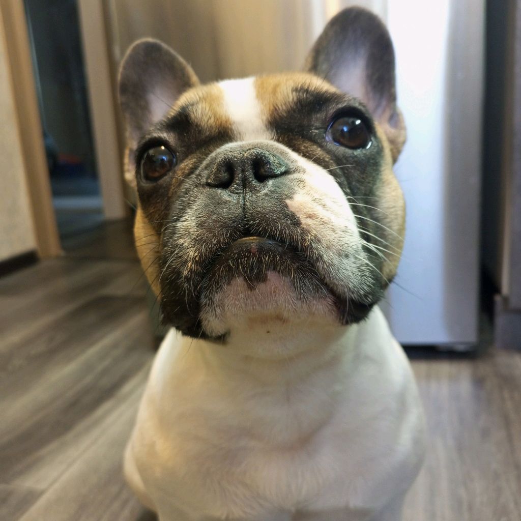 Иконка канала Блог ЛиЛи