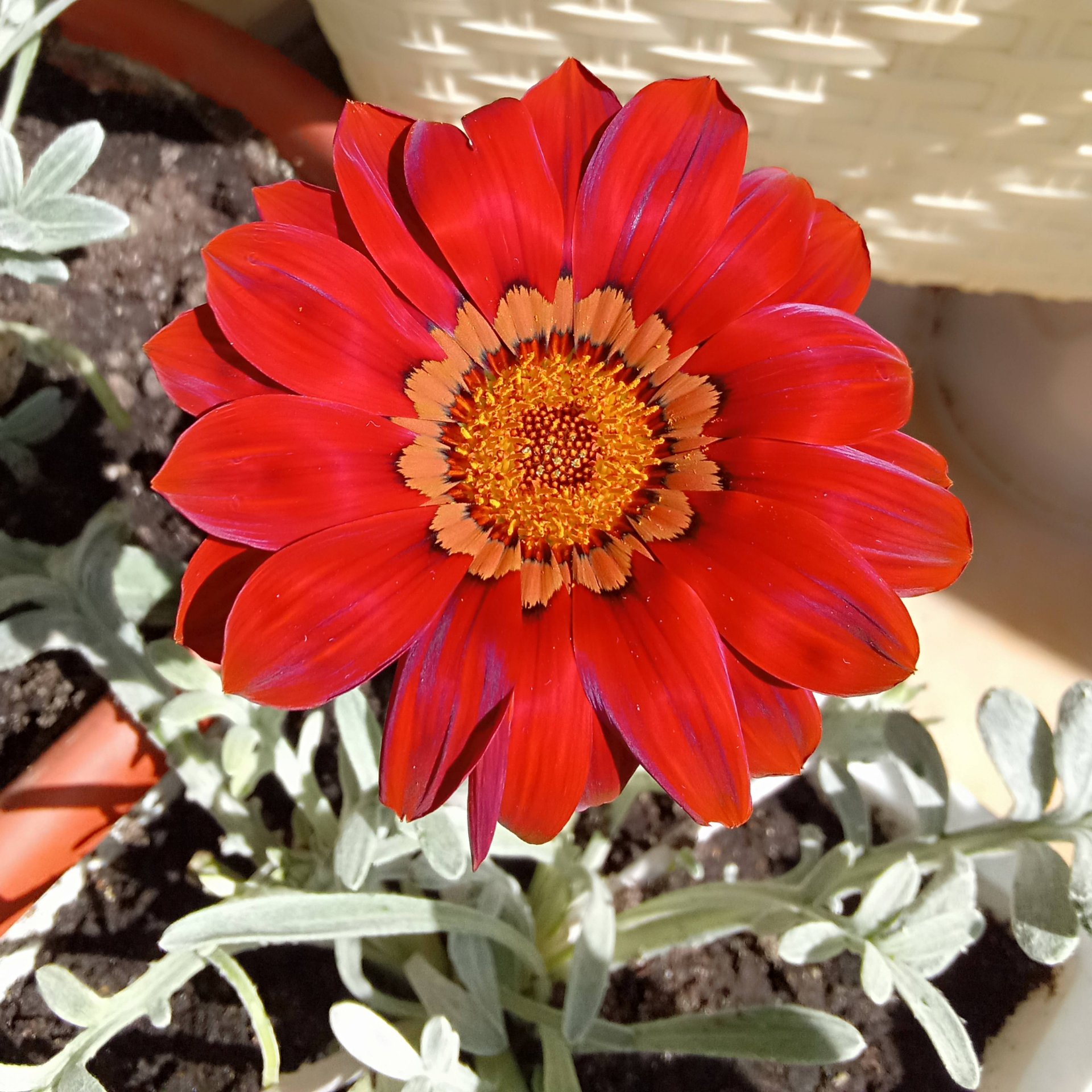 Иконка канала Март Март