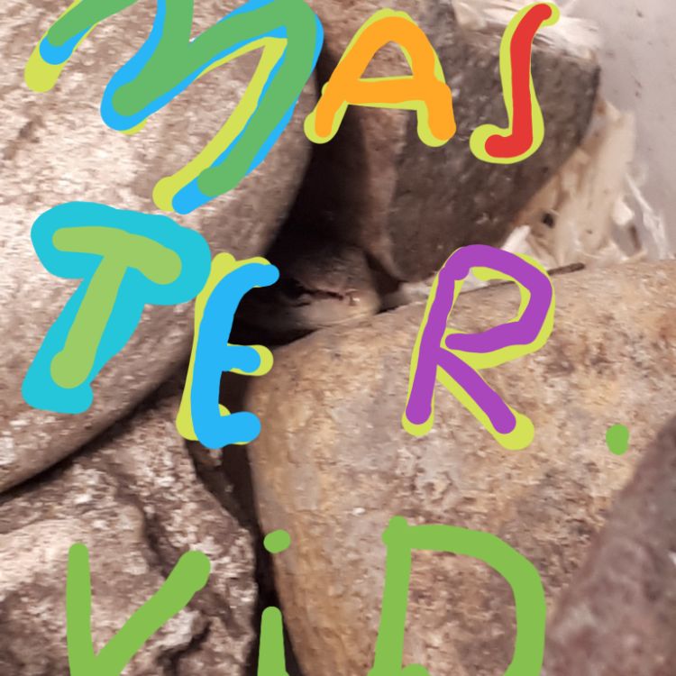 Иконка канала Master.vid