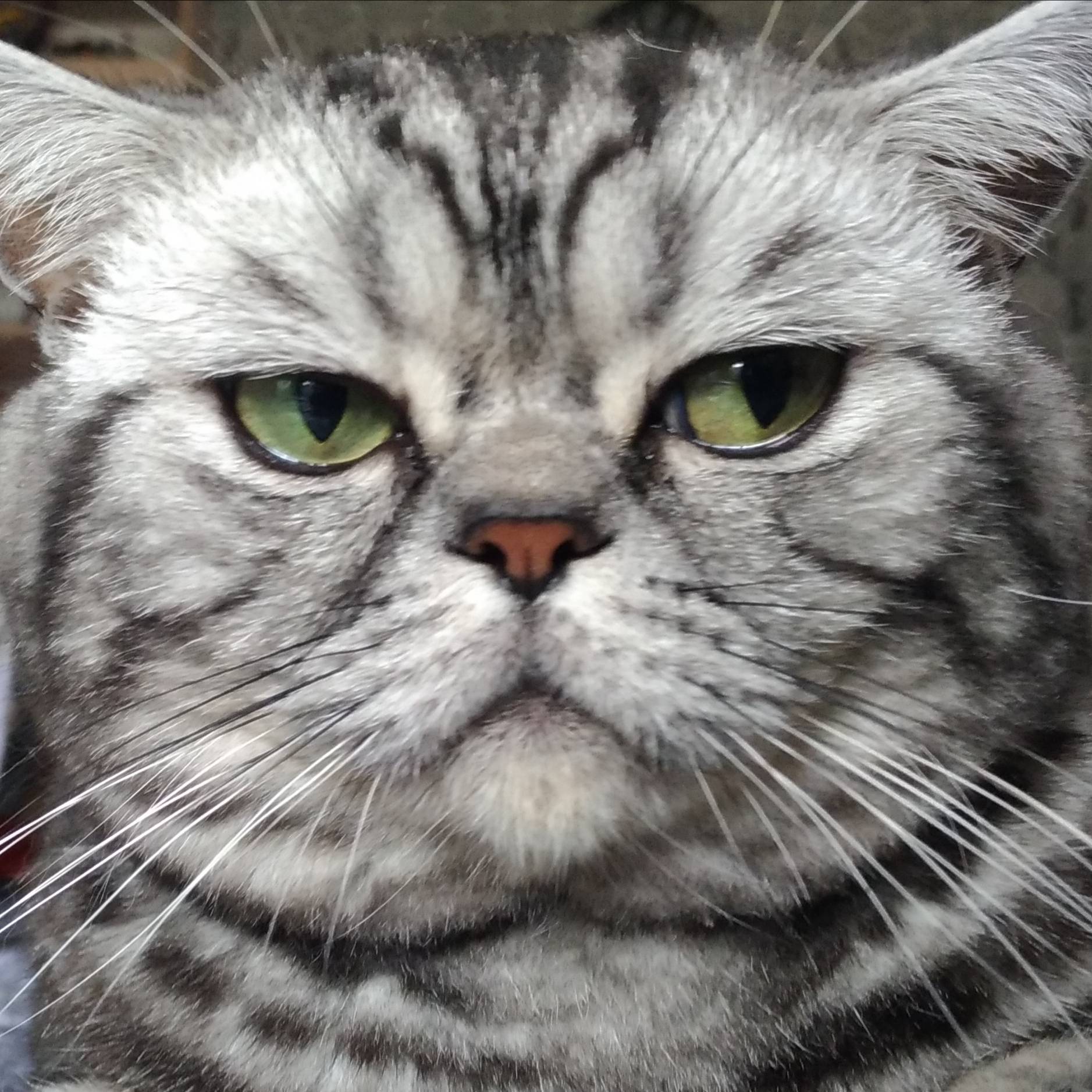 Иконка канала DavydovRus