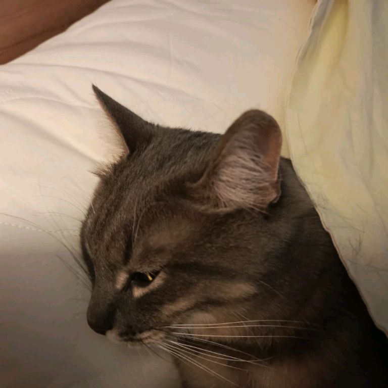 Иконка канала Ваня На Диване Крутой