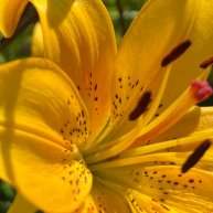 Иконка канала …..