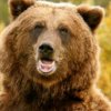 Иконка канала Правдаруб